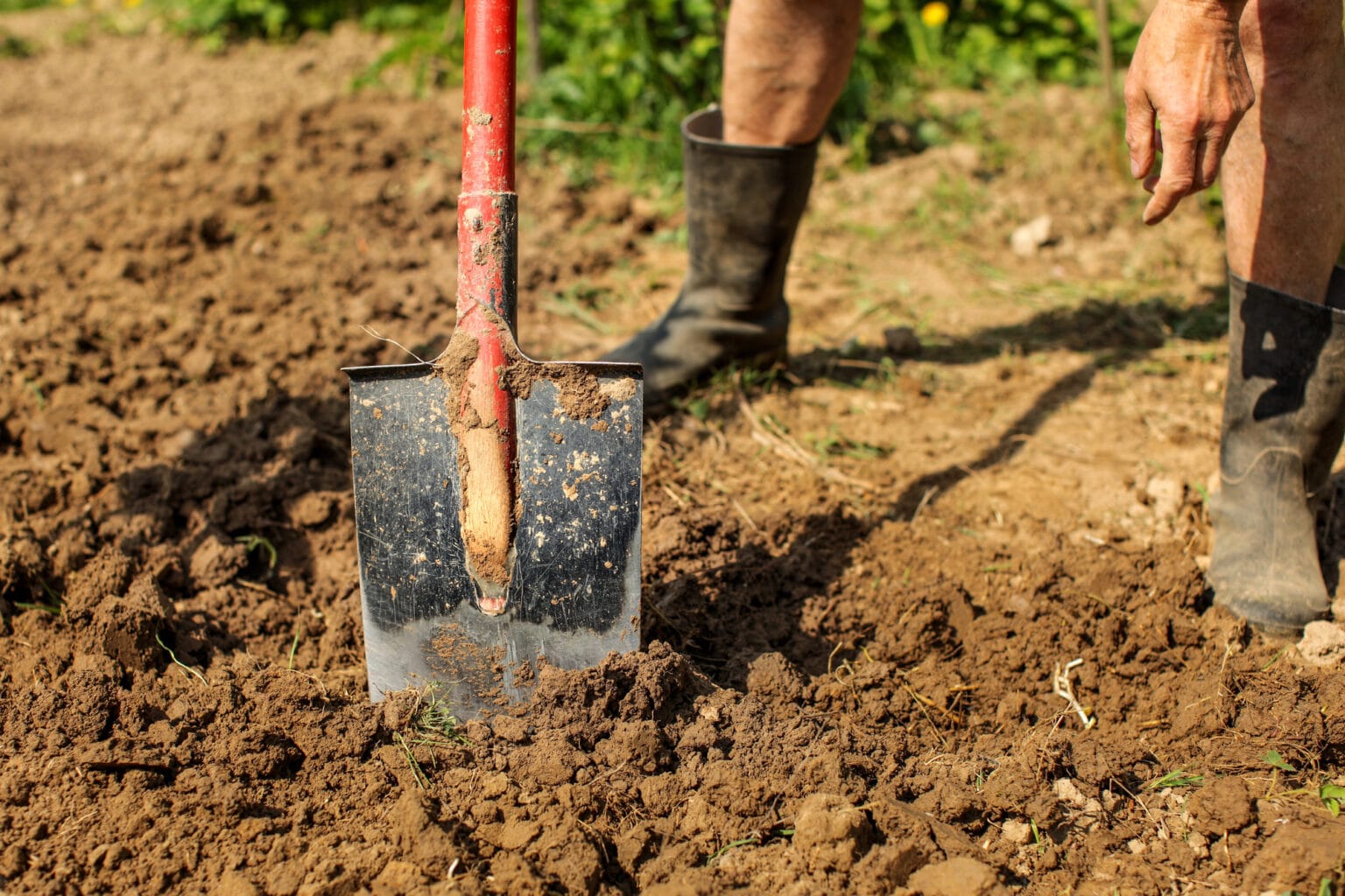 Best Ergonomic Garden Spades | Price Ranked Flange Picks